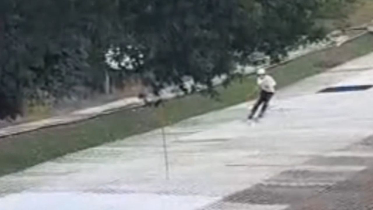 Momentary distraction during ski race training results in a sudden crash