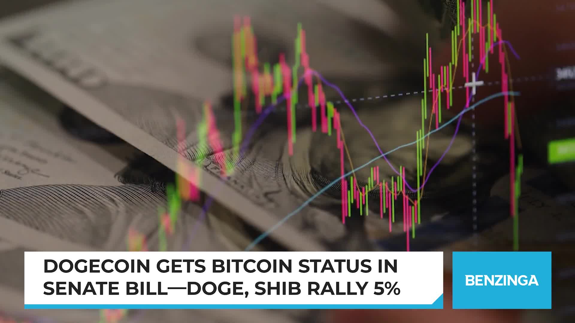 DOGE rallies on Senate bill