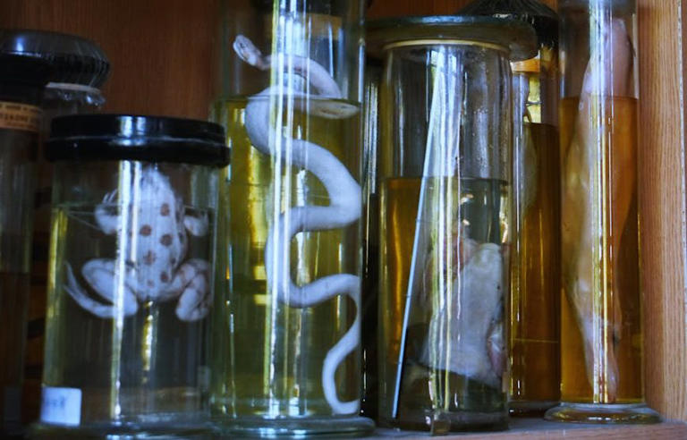 Why is formaldehyde in beauty products? What it is, where it hides, and ...