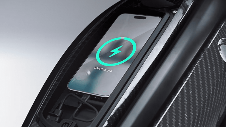 The "Flying Flea" S6 has a secret it wants to keep