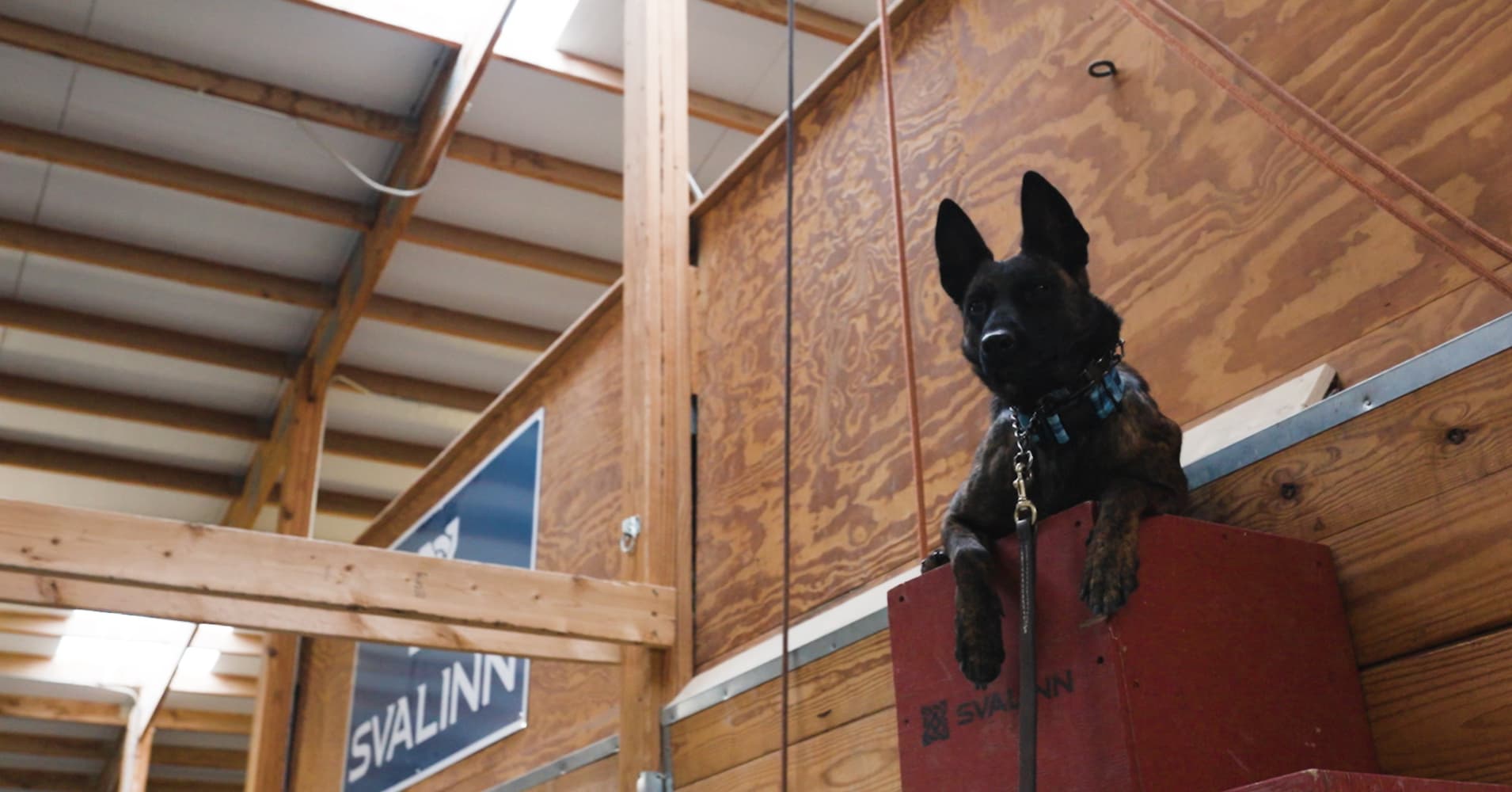 51-year-old quit policy career to start a business—now the wealthy buy ...