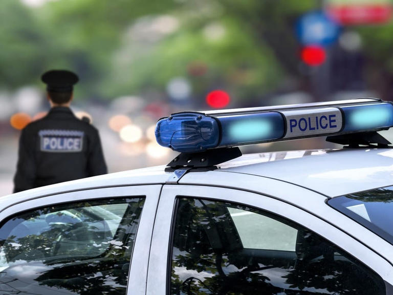 This week in Long Beach: Petit larceny, unlicensed vehicle operation ...