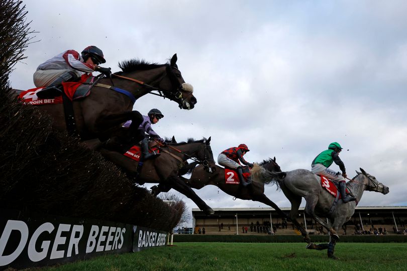 The addition of cheekpieces has revitalised him - Jason Heavey's ...