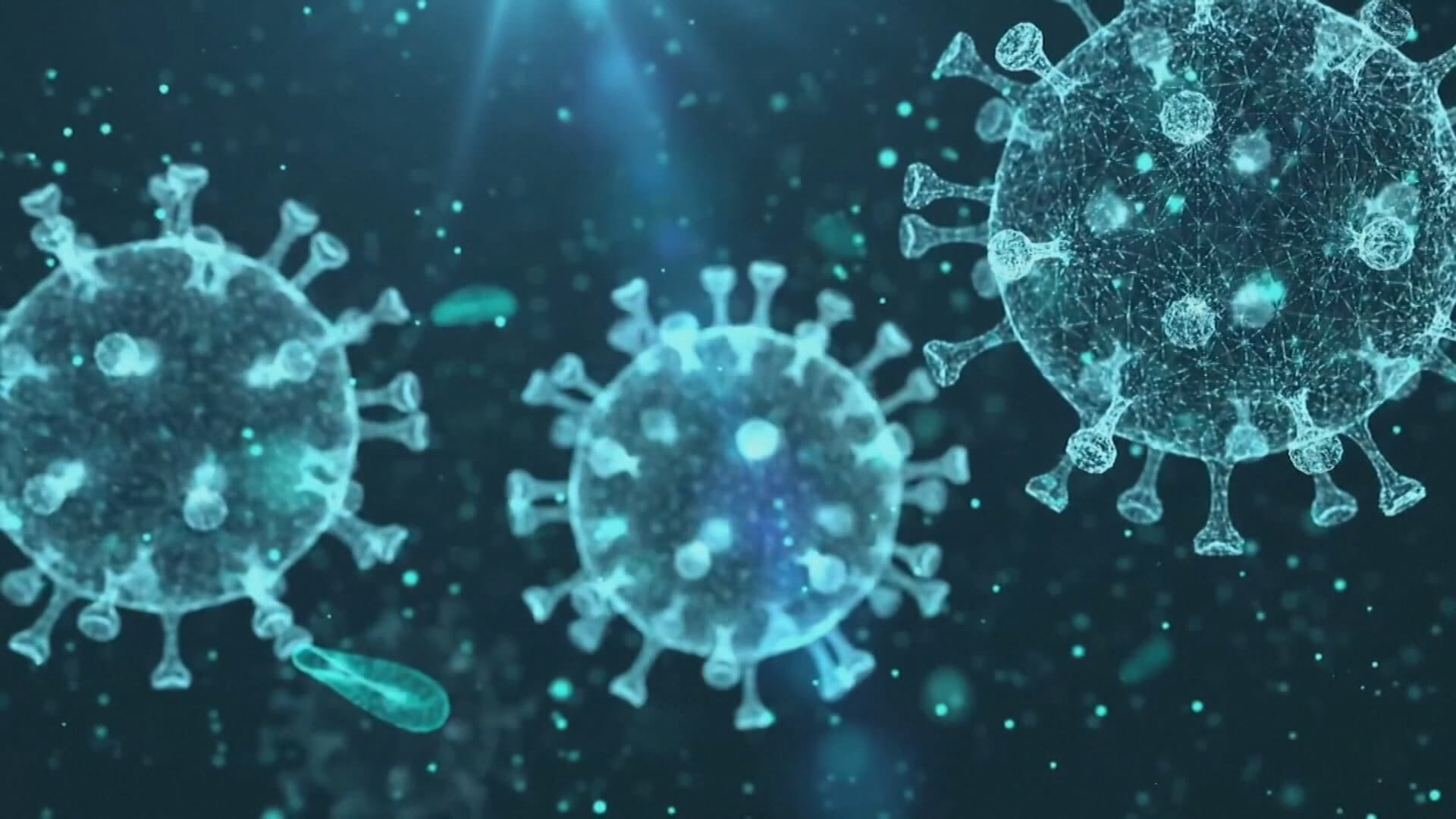 Child, teenager die of flu-related illness in Lucas County, health ...