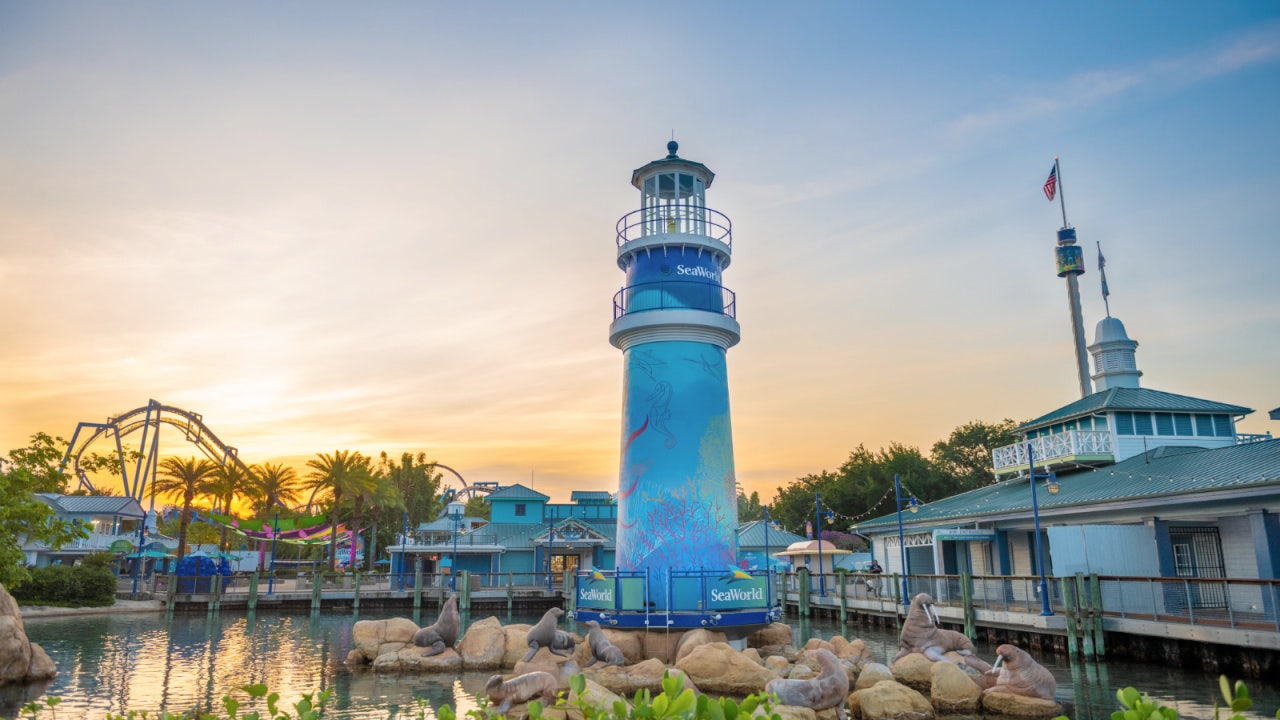 SeaWorld Orlando reveals concert lineup for Seven Seas Food Festival