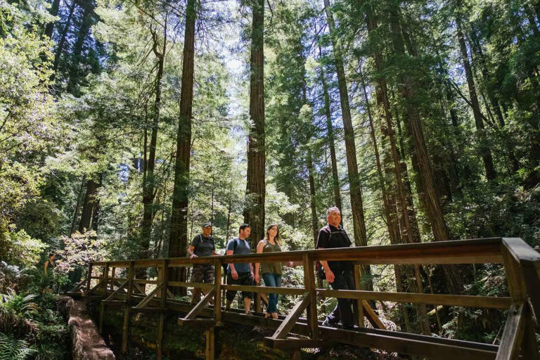 Unique Airbnb experiences to try in San Francisco