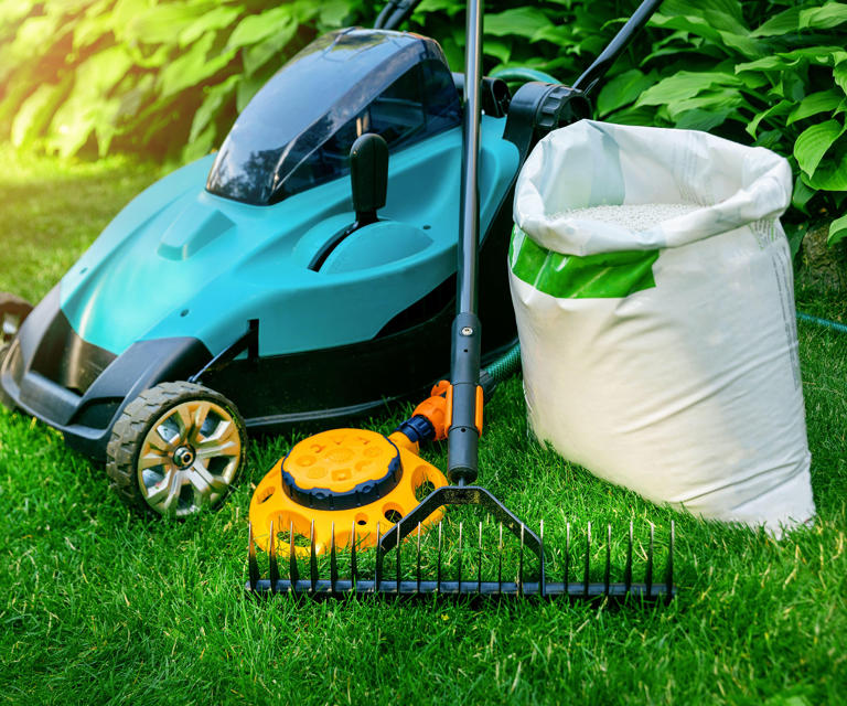 This simple lawn care step can transform your grass