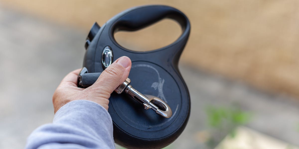 10 things vets wish you’d stop buying for your pet