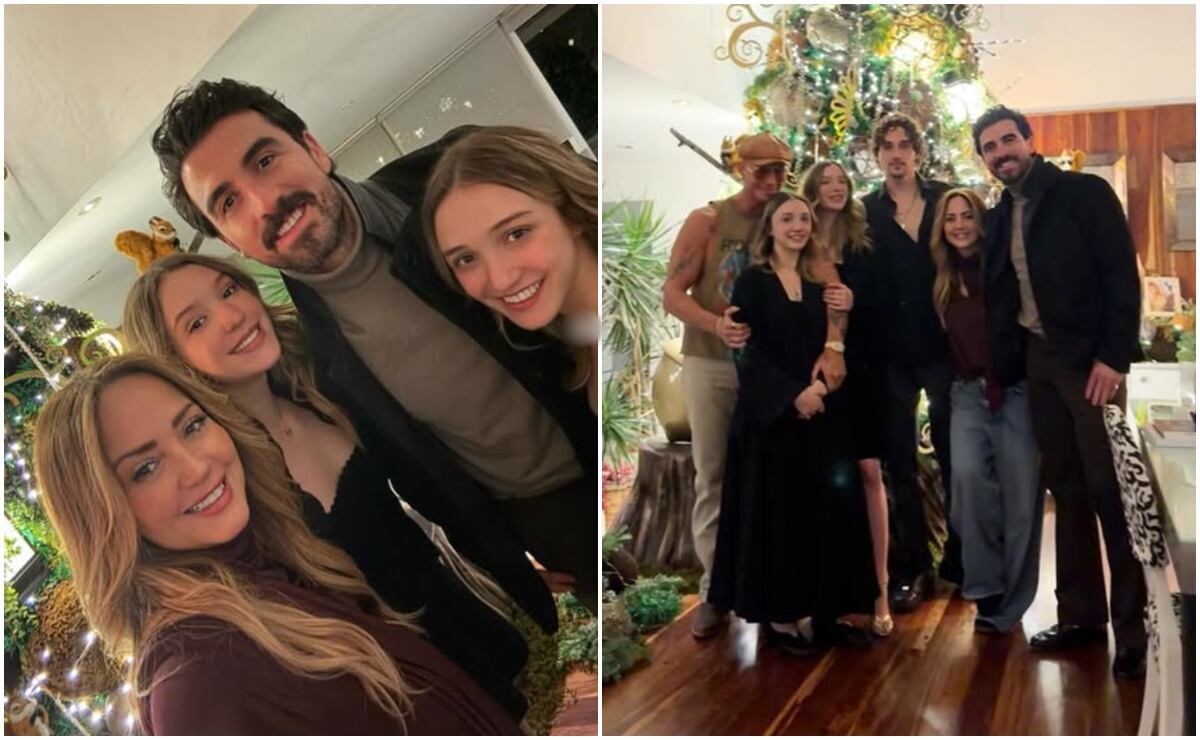 ¿Quién es Luis Carlos Origel, el nuevo amor de Andrea Legarreta?