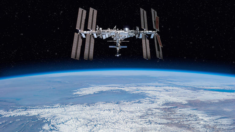 Space experiments reveal new way to fight drug-resistant superbugs ...