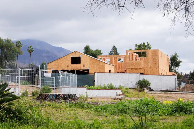 As Altadena’s trees fell, so did the roots of a Black LA neighborhood