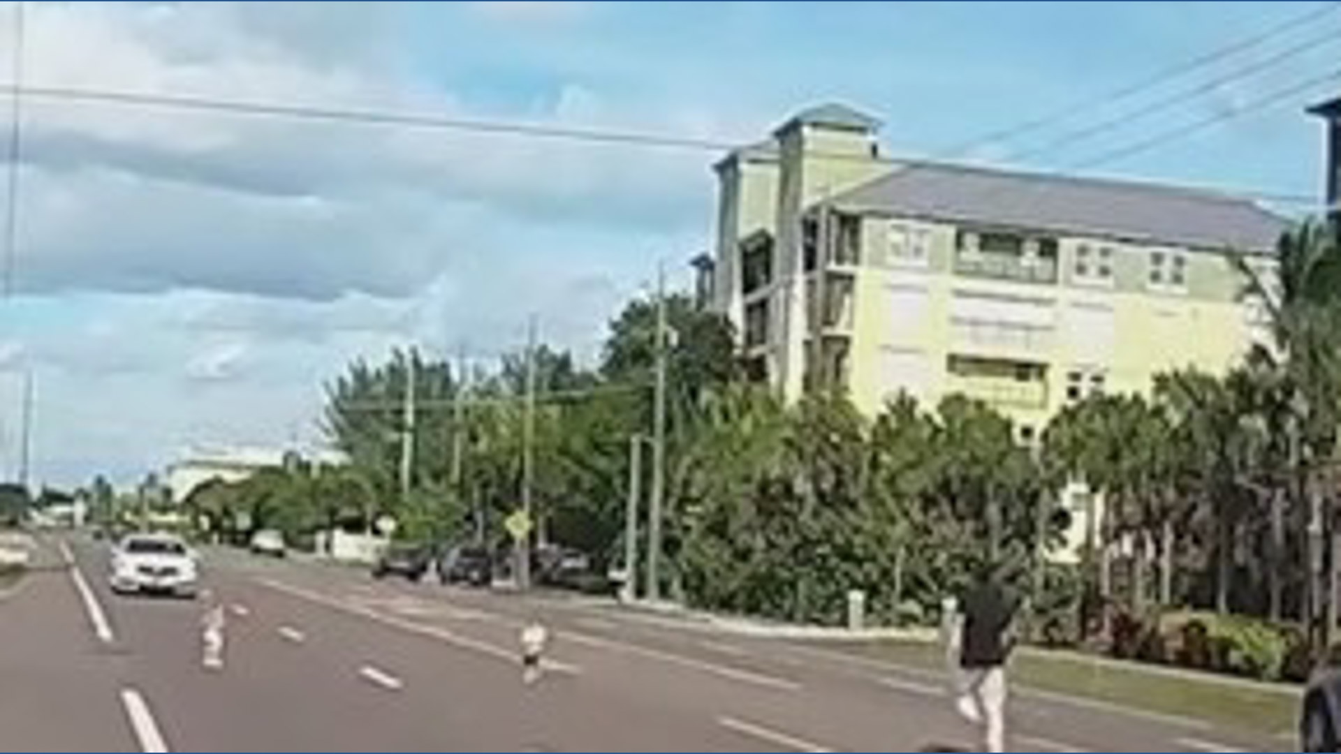 Florida man jumps into action to save two toddlers