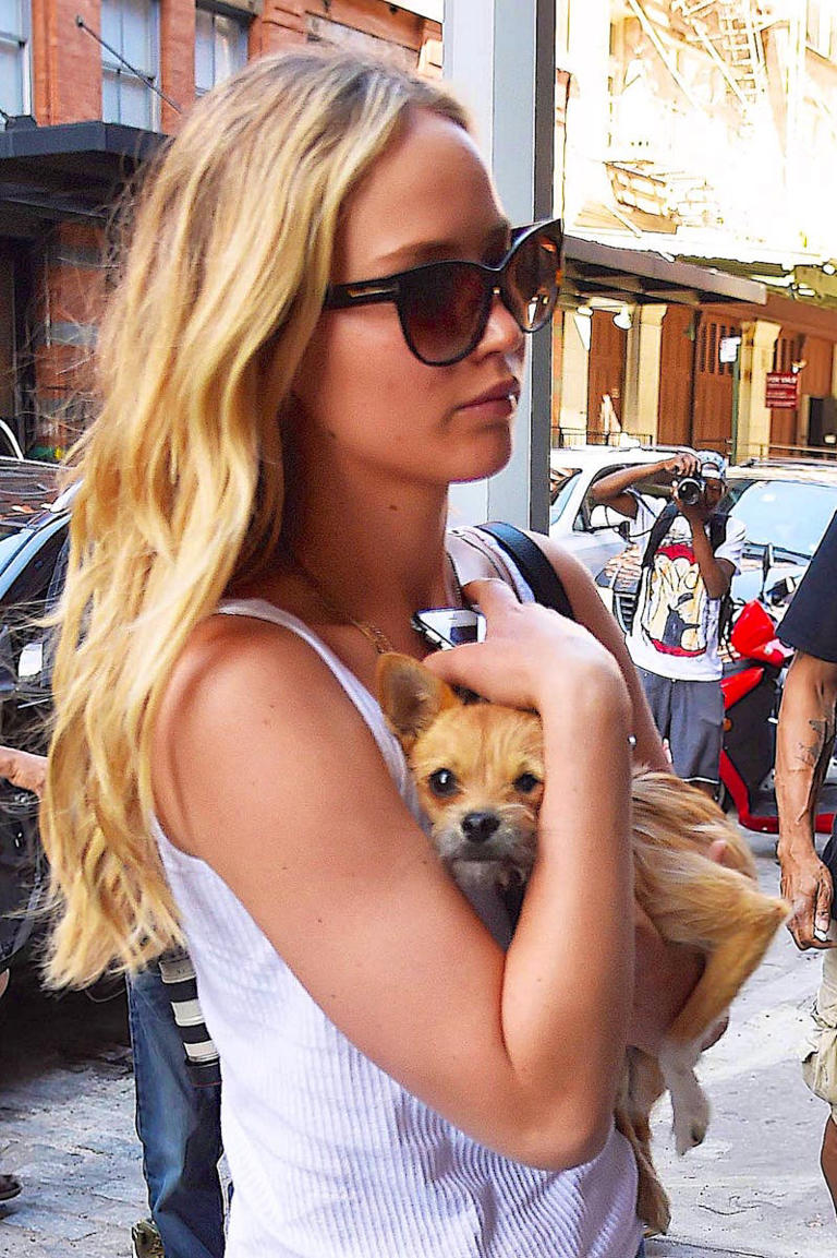 Hund wegen Baby fremdplatziert: Hast du ähnliche Erfahrungen?