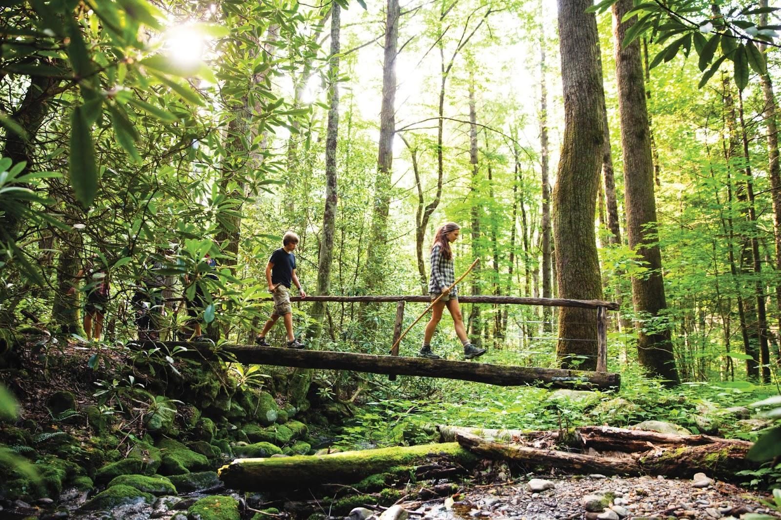 15+ incredibly fun things to do in Tennessee with kids