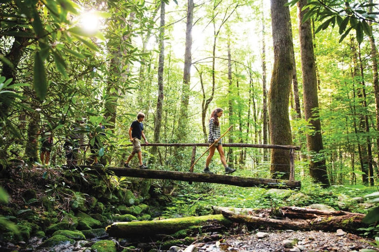 15+ incredibly fun things to do in Tennessee with kids