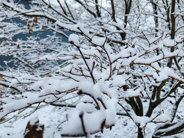 How much snow fell in Skokie during sudden snowfall