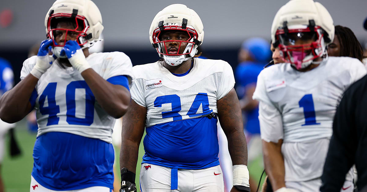 SMU DT Damarjhe Lewis enters NCAA transfer portal