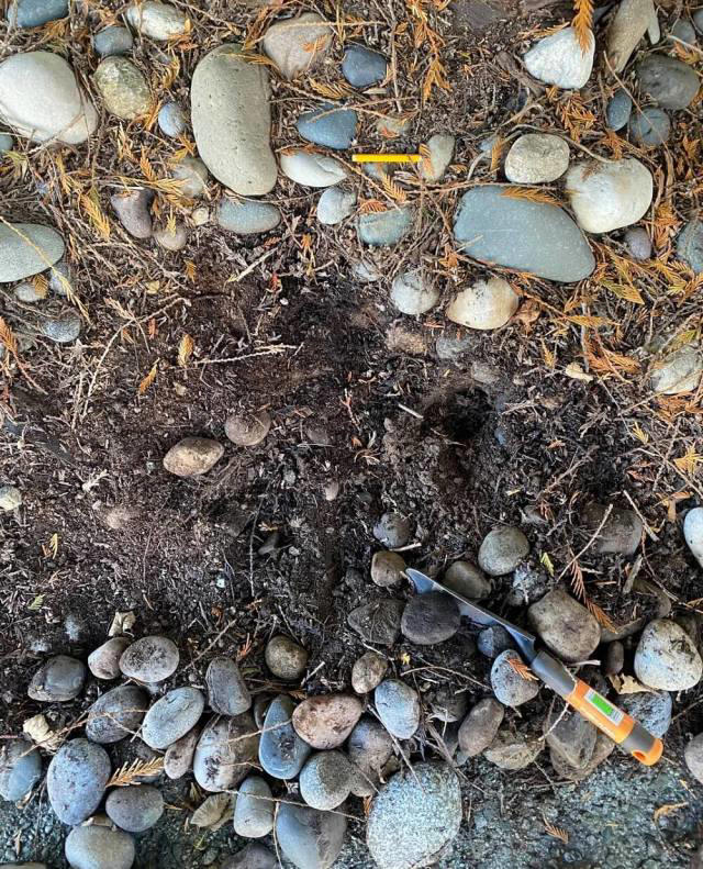 Gardener warned after sharing photo of tricky landscaping problem: 'It ...