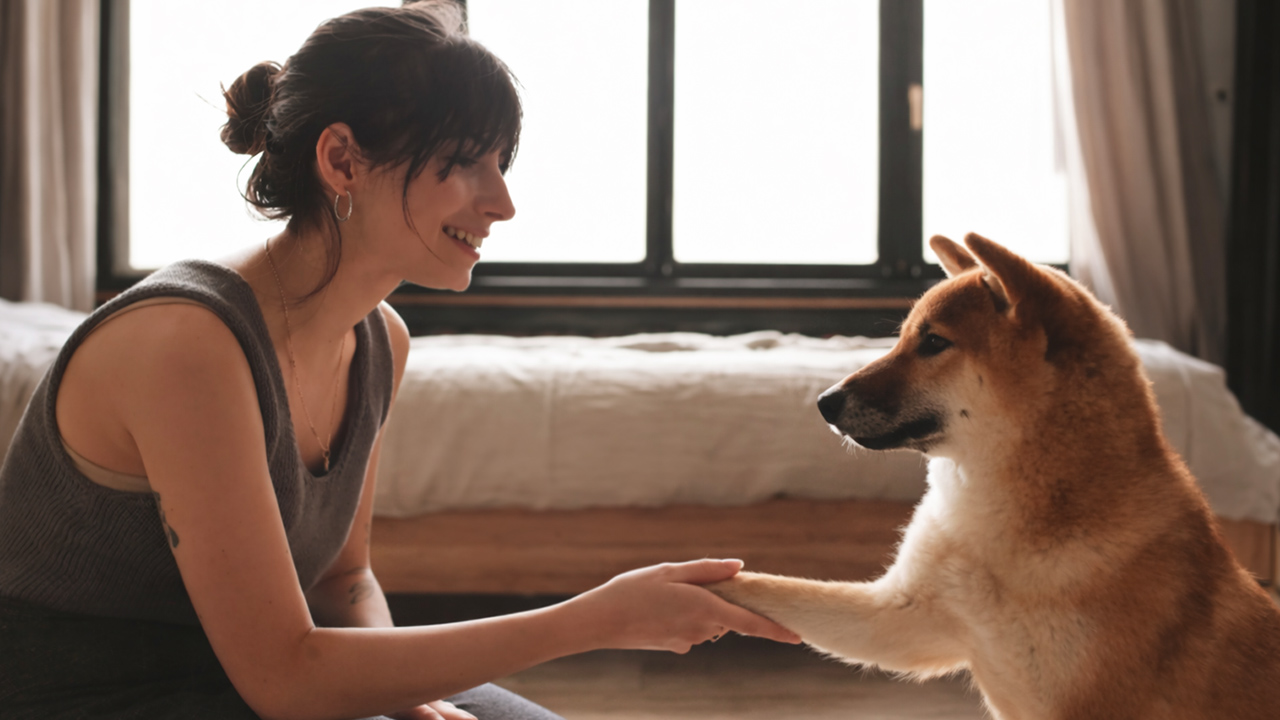 A girl shows affection to a dog and gets an unexpected reaction