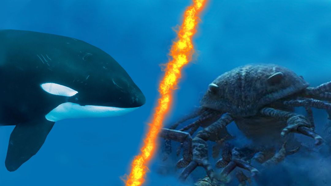 Giant sea scorpion vs. killer whale: Epic battle