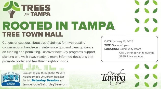 Throwing shade: Tampa invites residents to shape city’s green future at ...