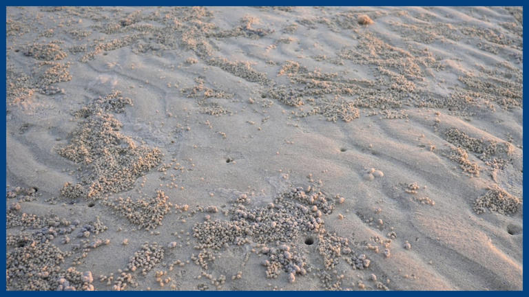 Two 14-year-old boys die after sand hole collapses at Inverness Park