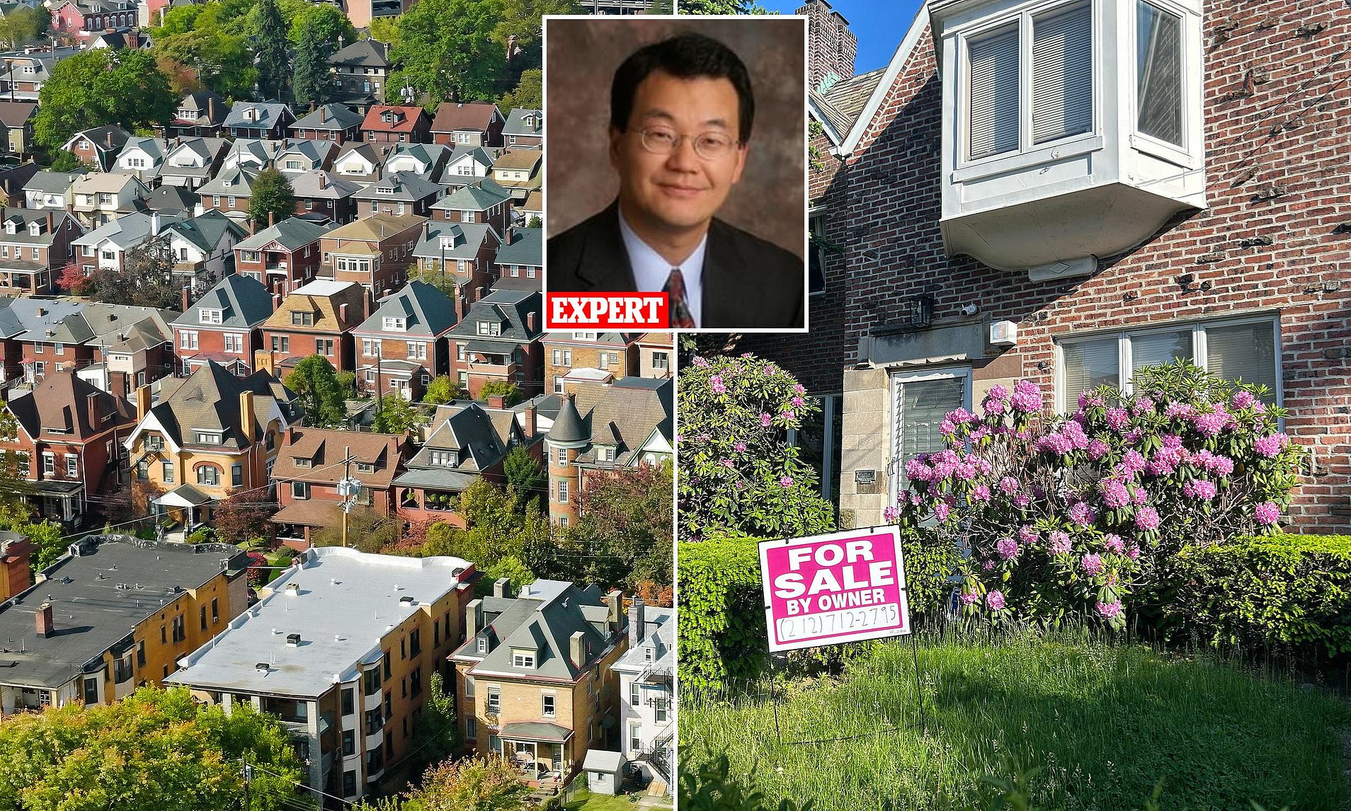 Housing market had worst slump in four decades last year but December ...