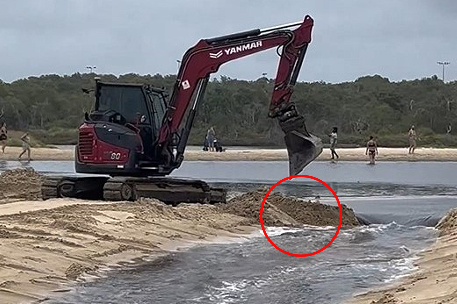 Aussie council's drastic beach move to protect residents as wild ...