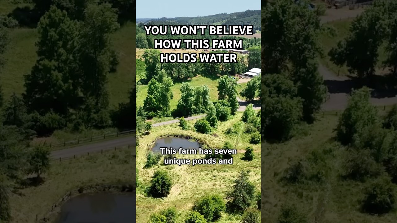 I transformed a dry farm into an oasis 💧