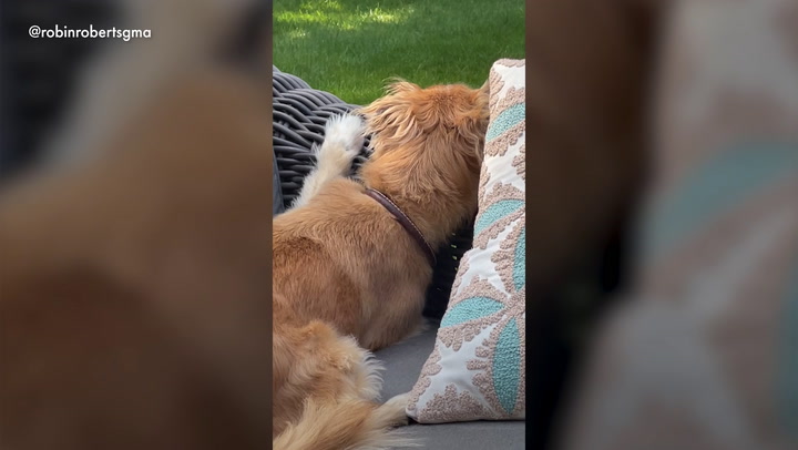 Robin Roberts shares a relaxed glimpse of her Connecticut home