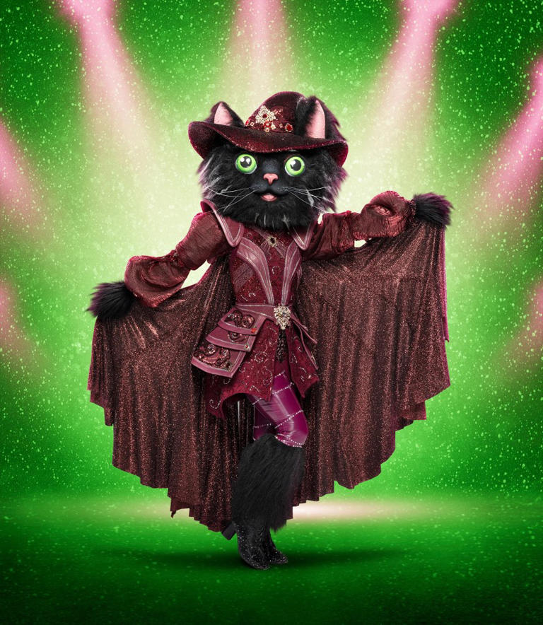 'The Masked Singer' season 14 costume gallery: Meet the competitors ...