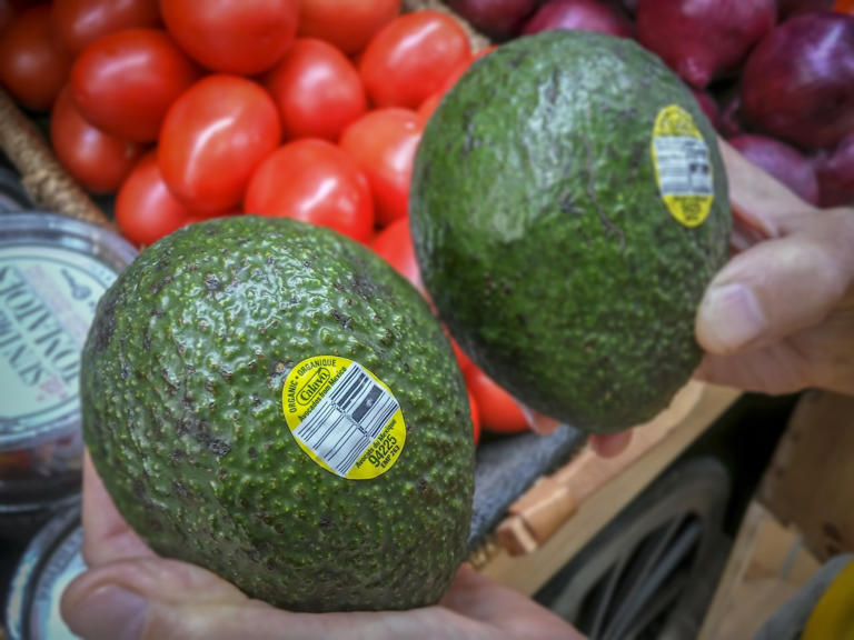 Mission Produce to acquire rival avocado producer Calavo in $483 ...