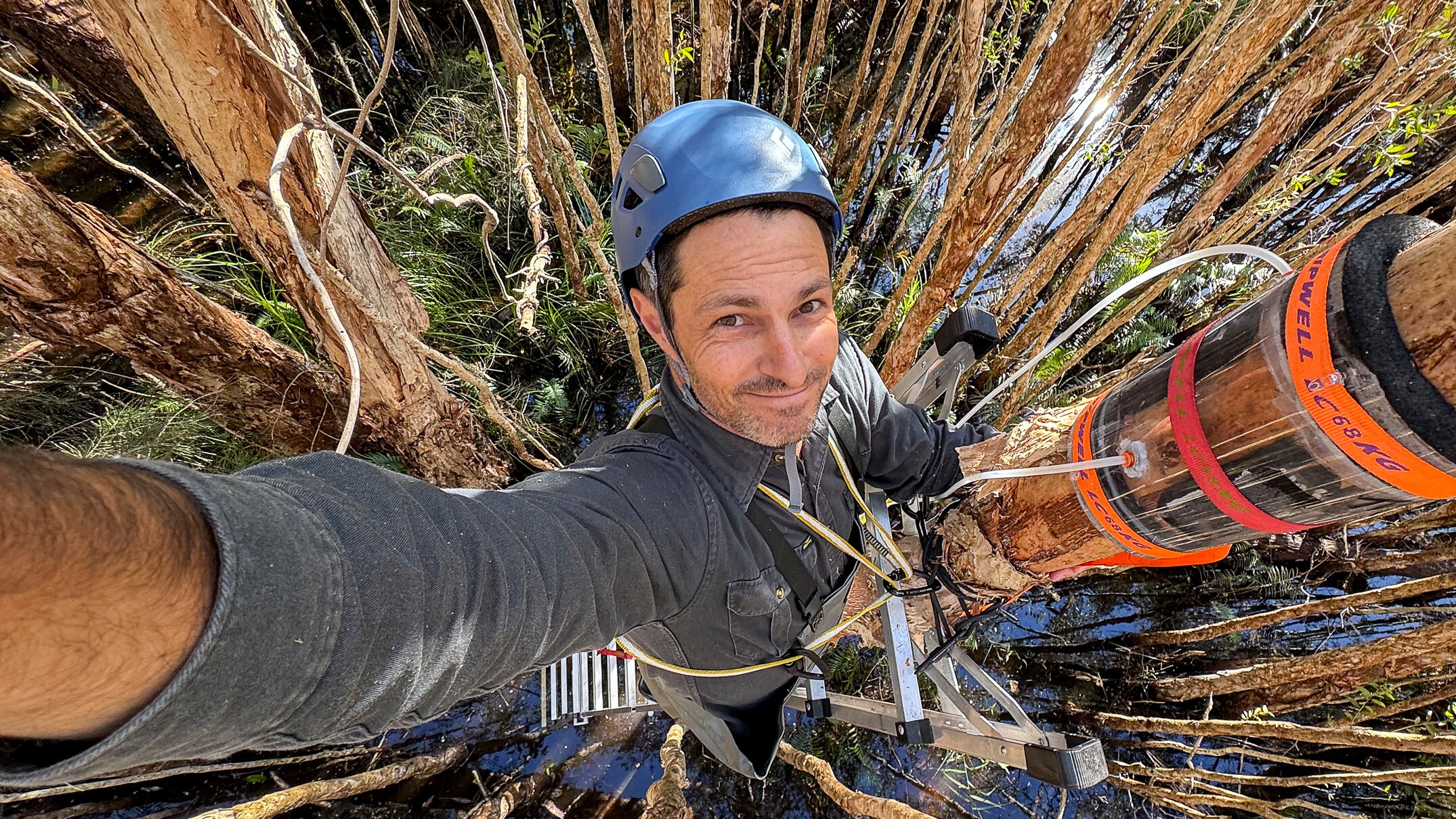 Tree bark microbes play a role in eliminating greenhouse gases, study finds