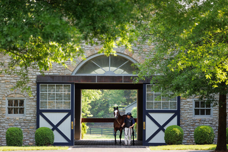 The 2025-26 all-value sire team: Bloodstock experts Zach Madden and ...