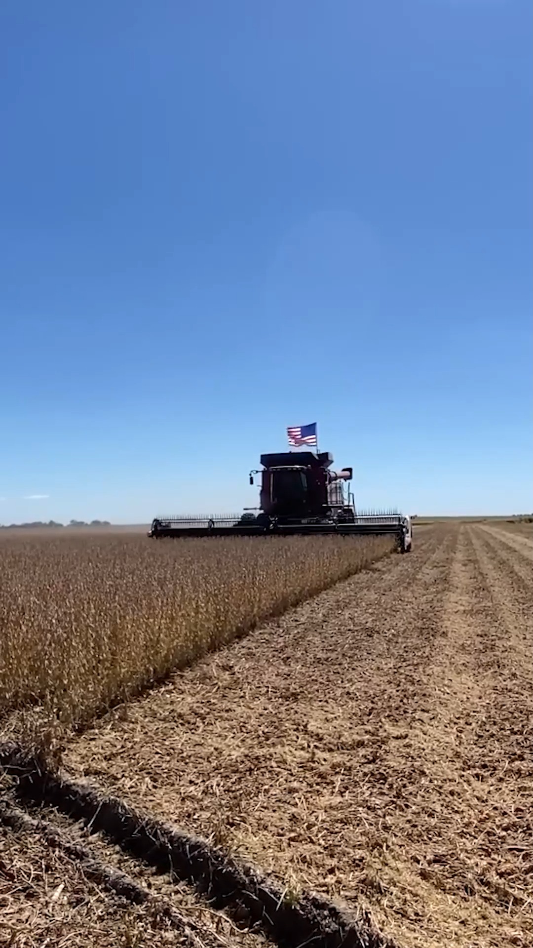 The world’s most expensive lawnmower