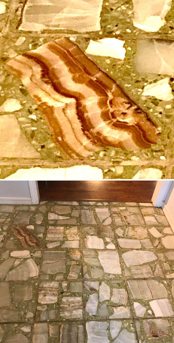 38 'forbidden food' examples you shouldn't ever eat