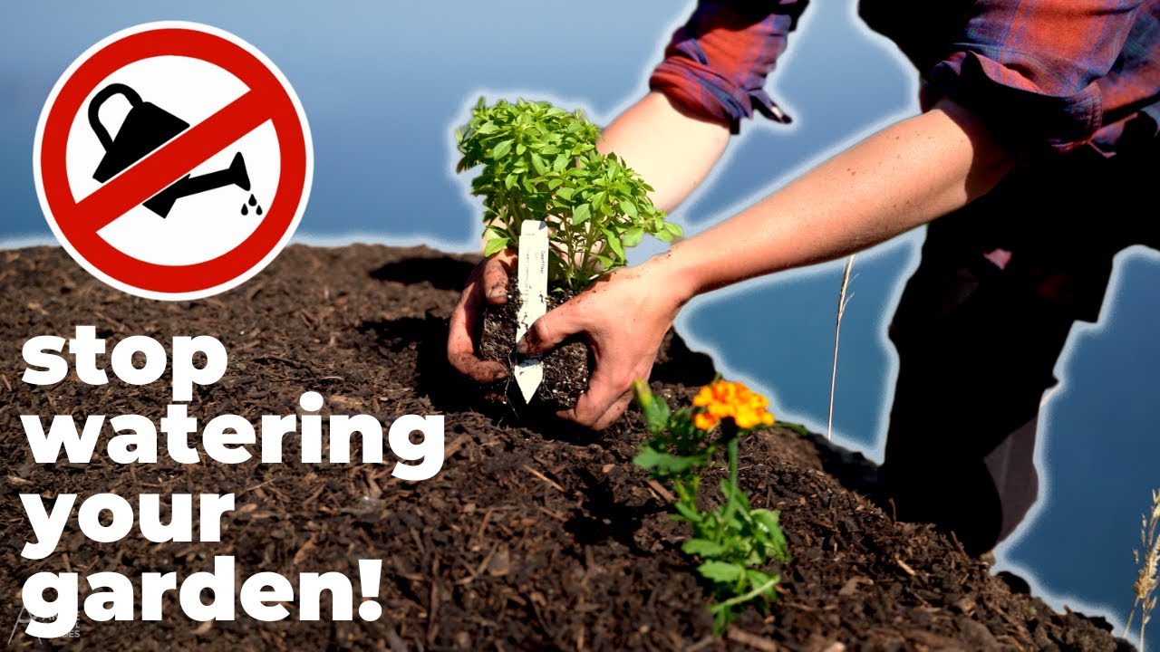 Stop watering your garden!