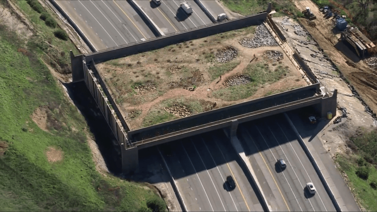 World’s largest wildlife crossing in California delayed, cost climbs