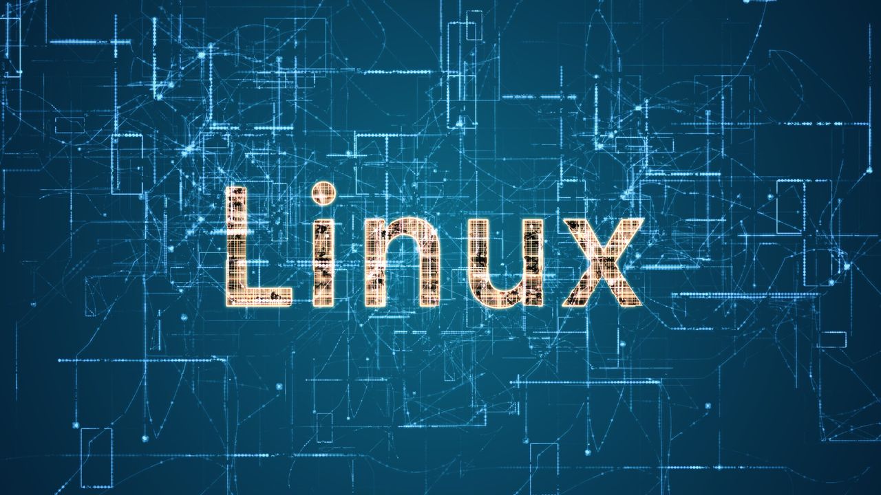 Why Linus Torvald's using AI code for fun does not mean Linux is changing