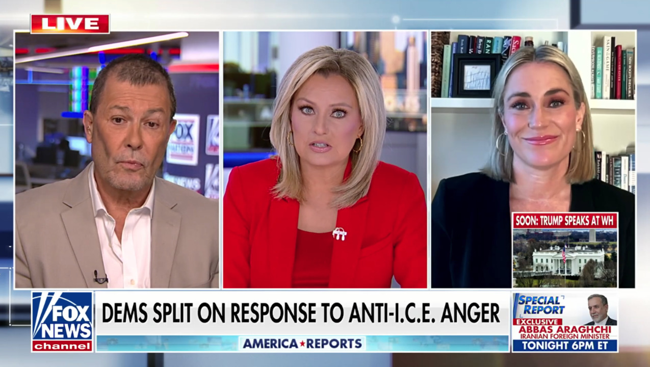 Dems' anti-ICE anger ignites division as progressives push defunding