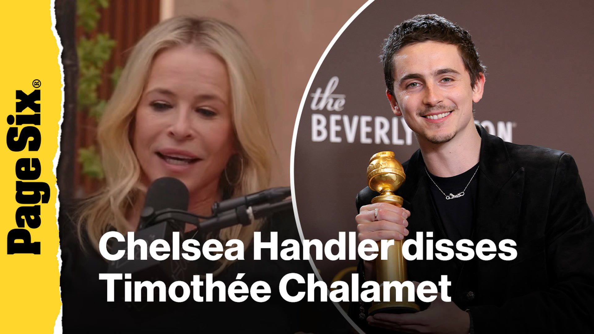 Chelsea Handler disses Timothée Chalamet's 'Marty Supreme' press tour