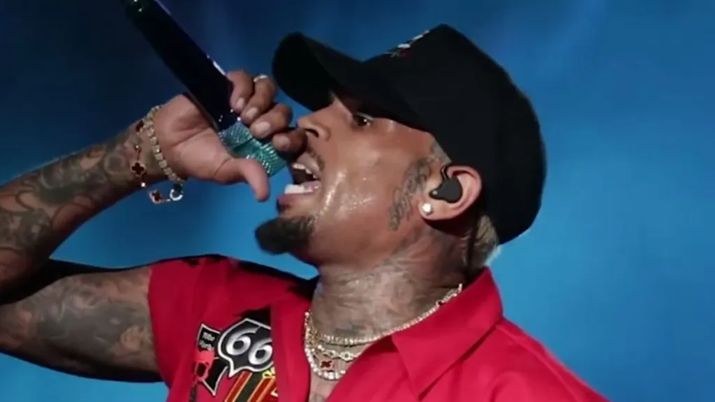 Judge tosses Chris Brown’s $500M defamation lawsuit over ‘A History of ...