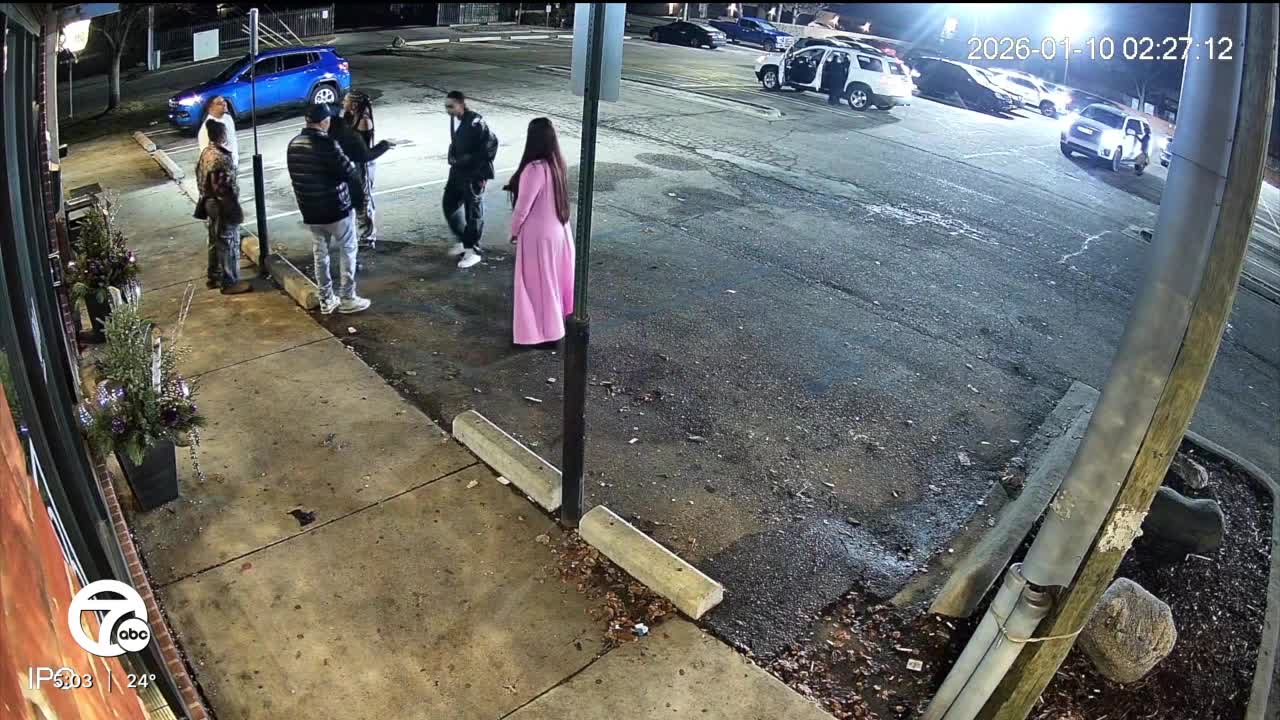 Woman killed by security guard outside Southfield lounge after domestic ...