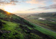 Wildlife corridors planned in South County’s Coyote Valley