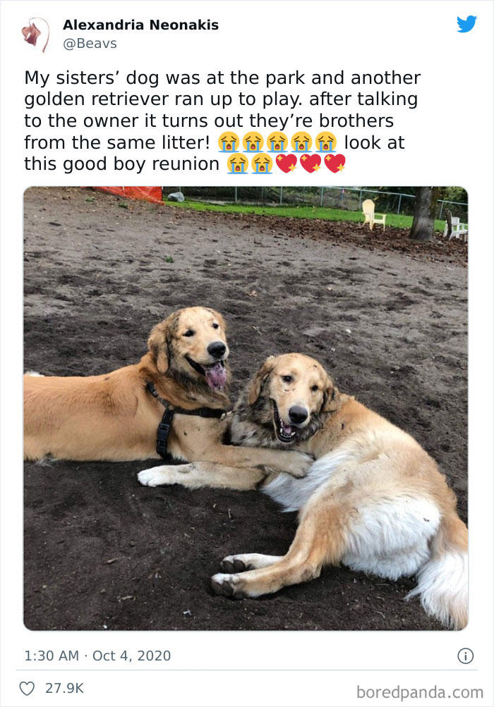 Facebook group shares 40 posts that show the worst and best of Twitter