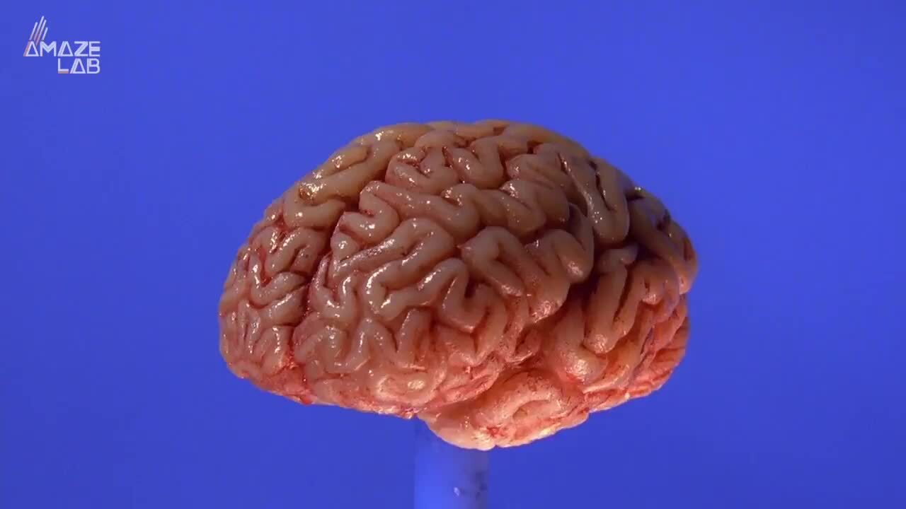 The brain can create entire memories almost instantly