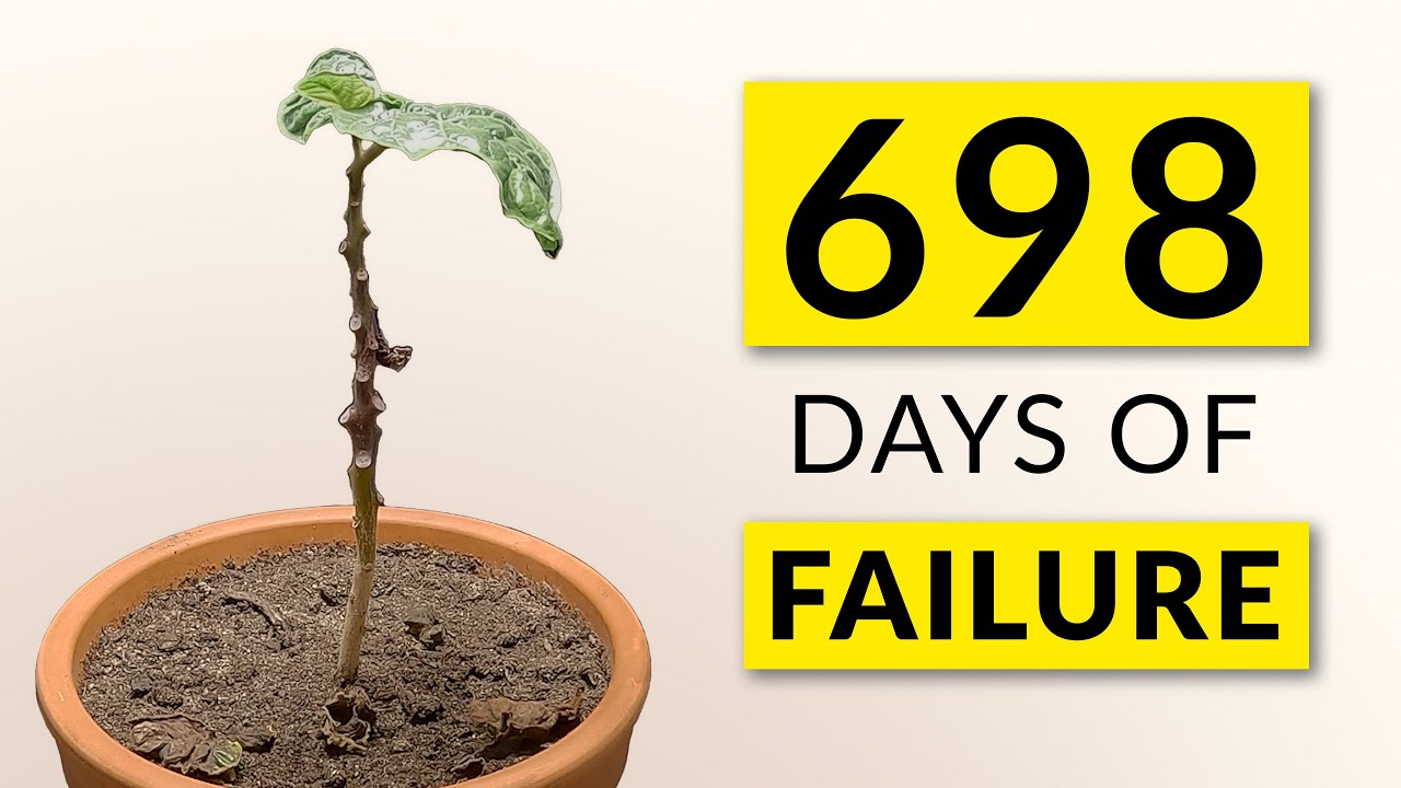 Not all time-lapses are great