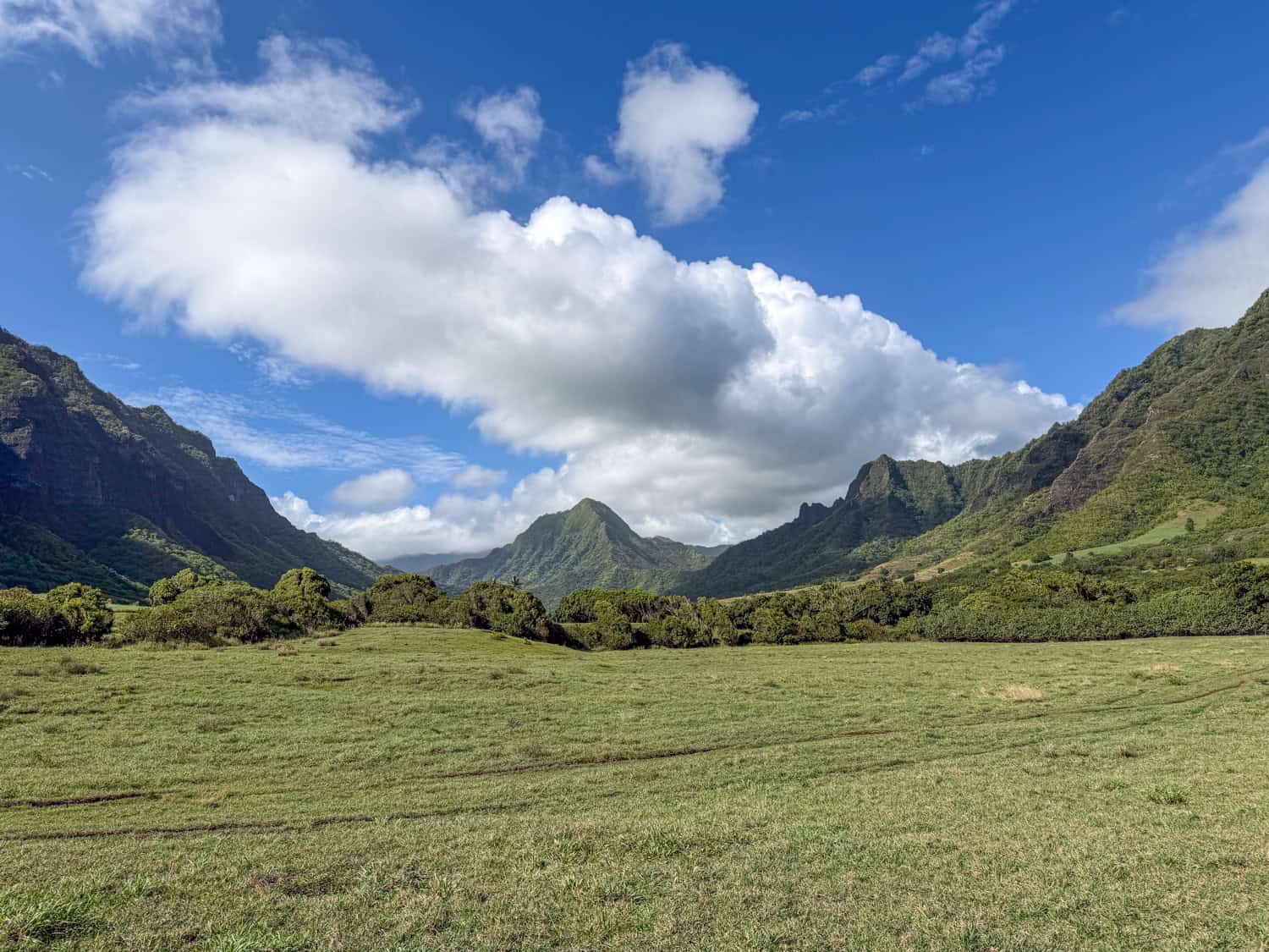 My experience on the Jurassic Adventure Tour at Kualoa Ranch, Oahu