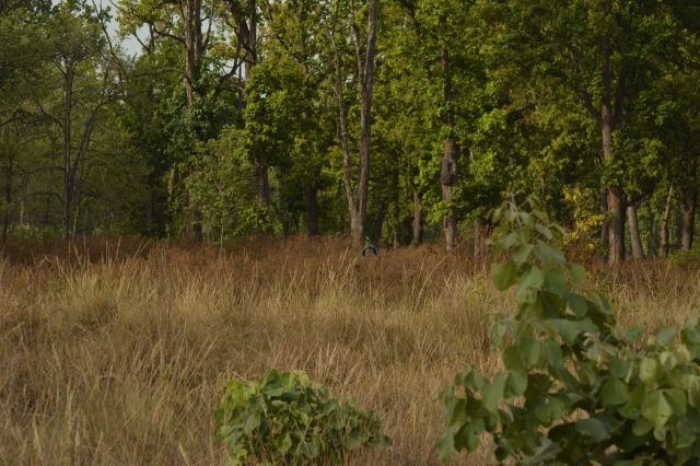 Officials make shocking discovery during raid on smuggling network: 'A ...