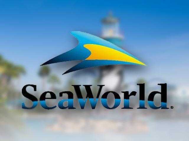 SeaWorld Orlando reveals concert lineup for Seven Seas Food Festival